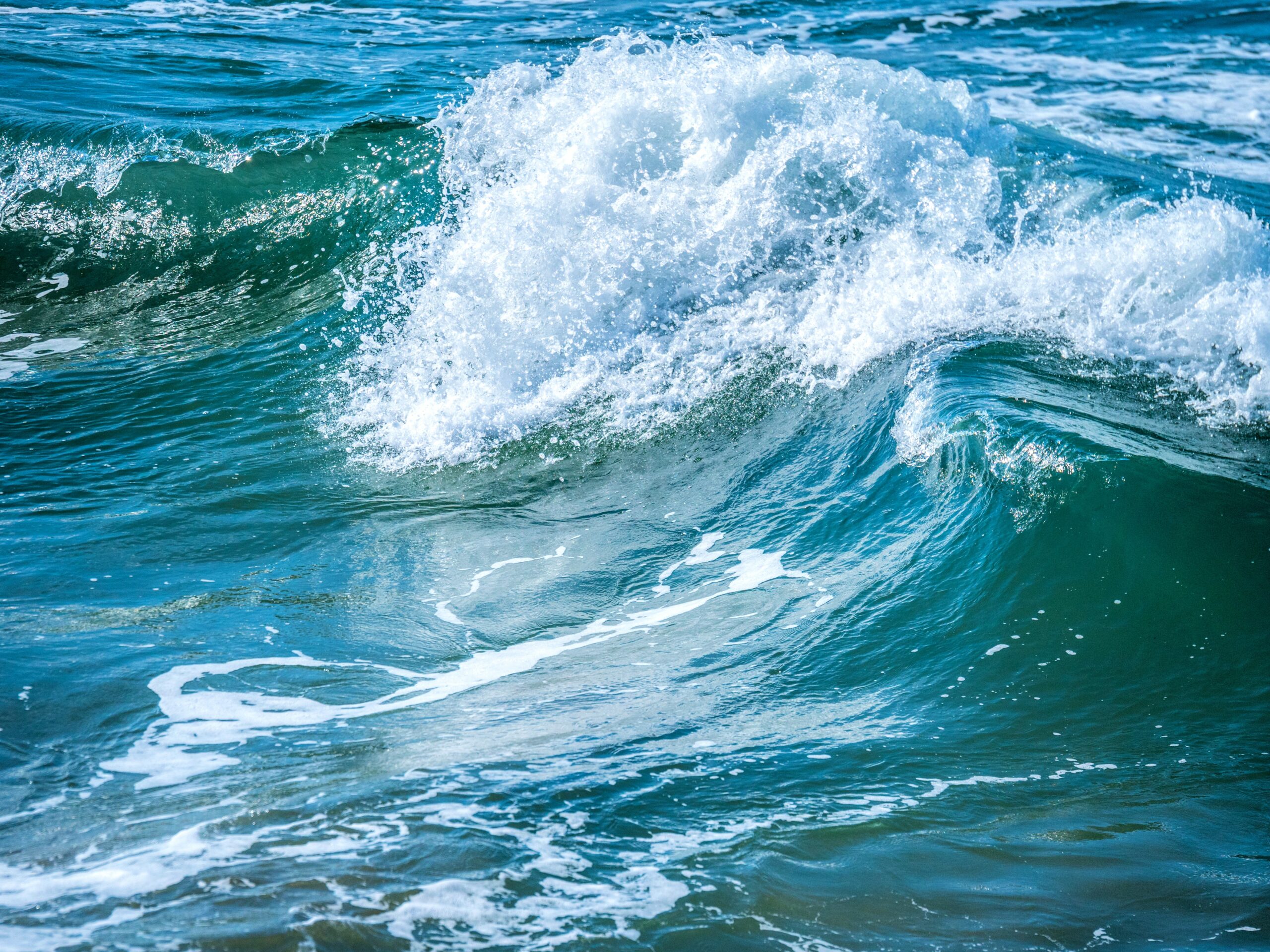 Marine organisms are a rich source of natural products - Earth.com