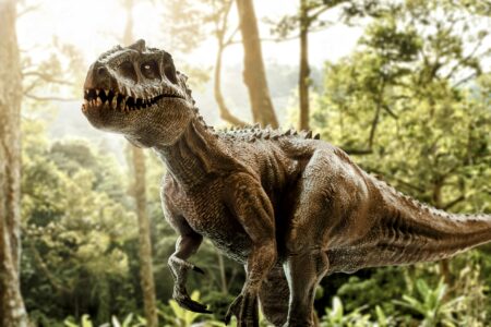 Oldest belly button known to science found in a dinosaur • Earth.com