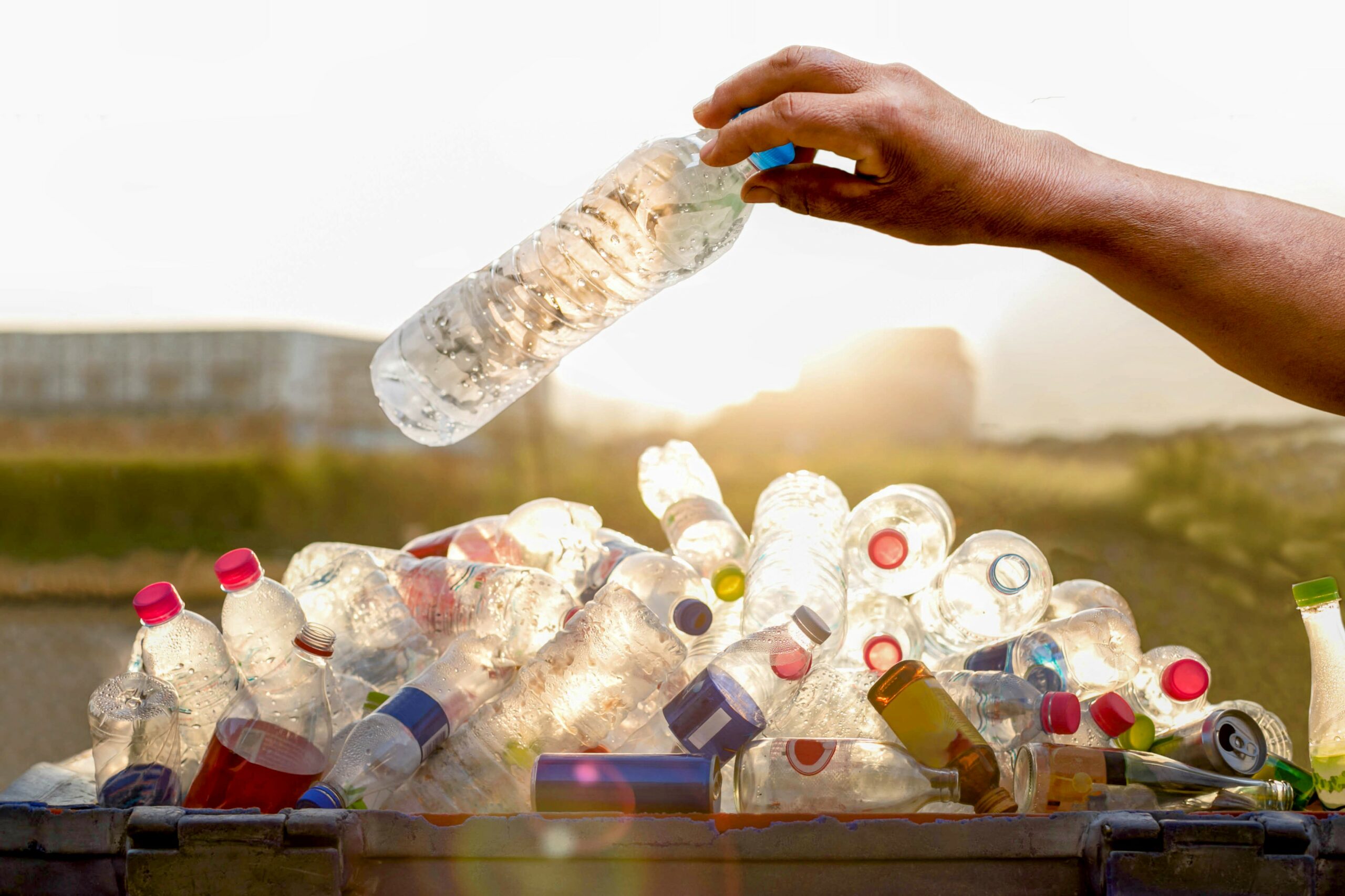 PET-like plastics have been created from biomass waste - Earth.com