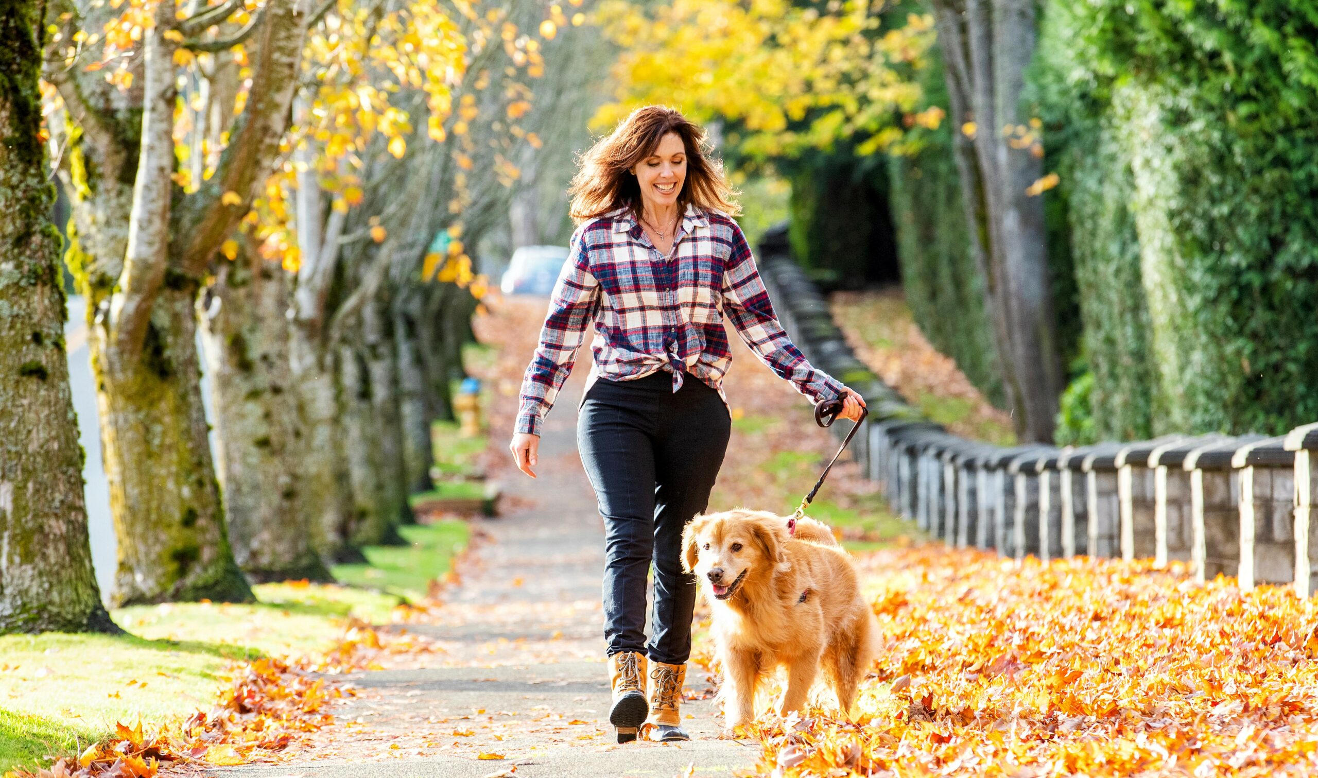 Neighborhoods with more dogs have less crime - Earth.com