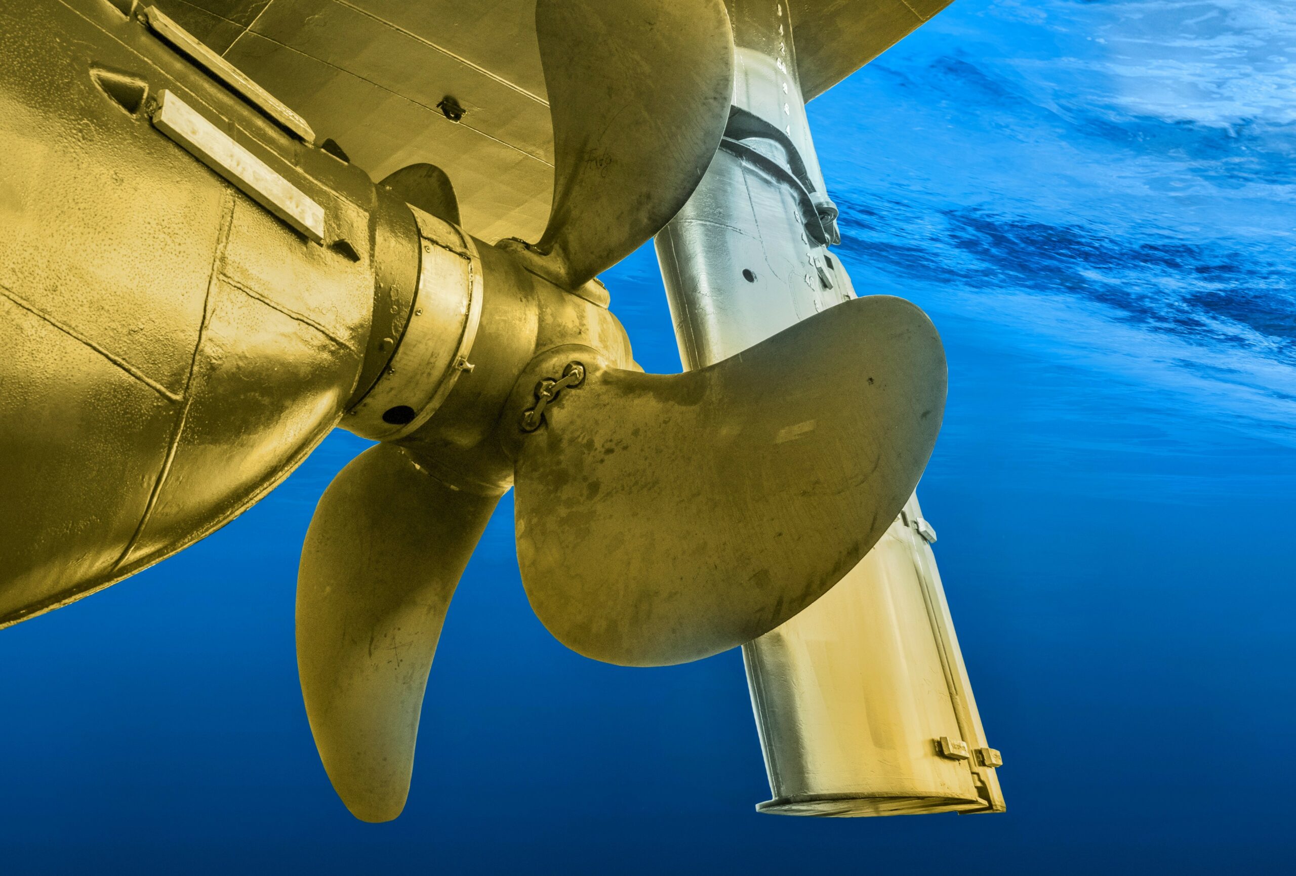 Narwhals struggle to escape the stress of ship noise - Earth.com