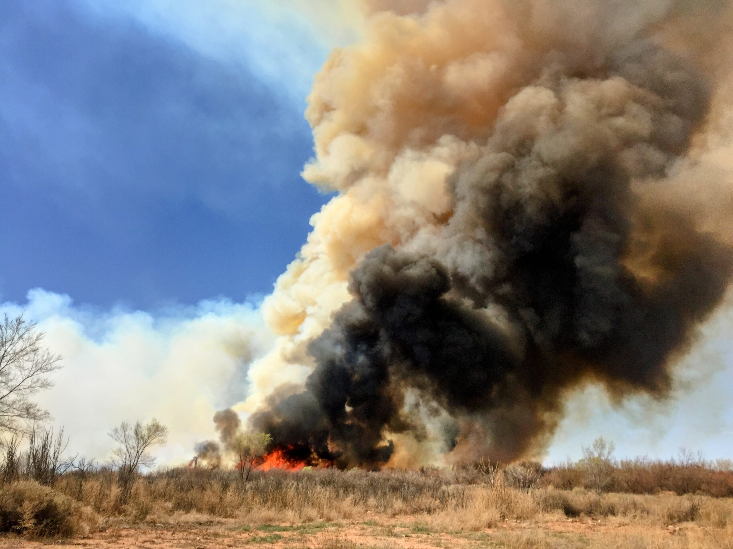Wildfire smoke impacts Arctic ice thousands of miles away - Earth.com