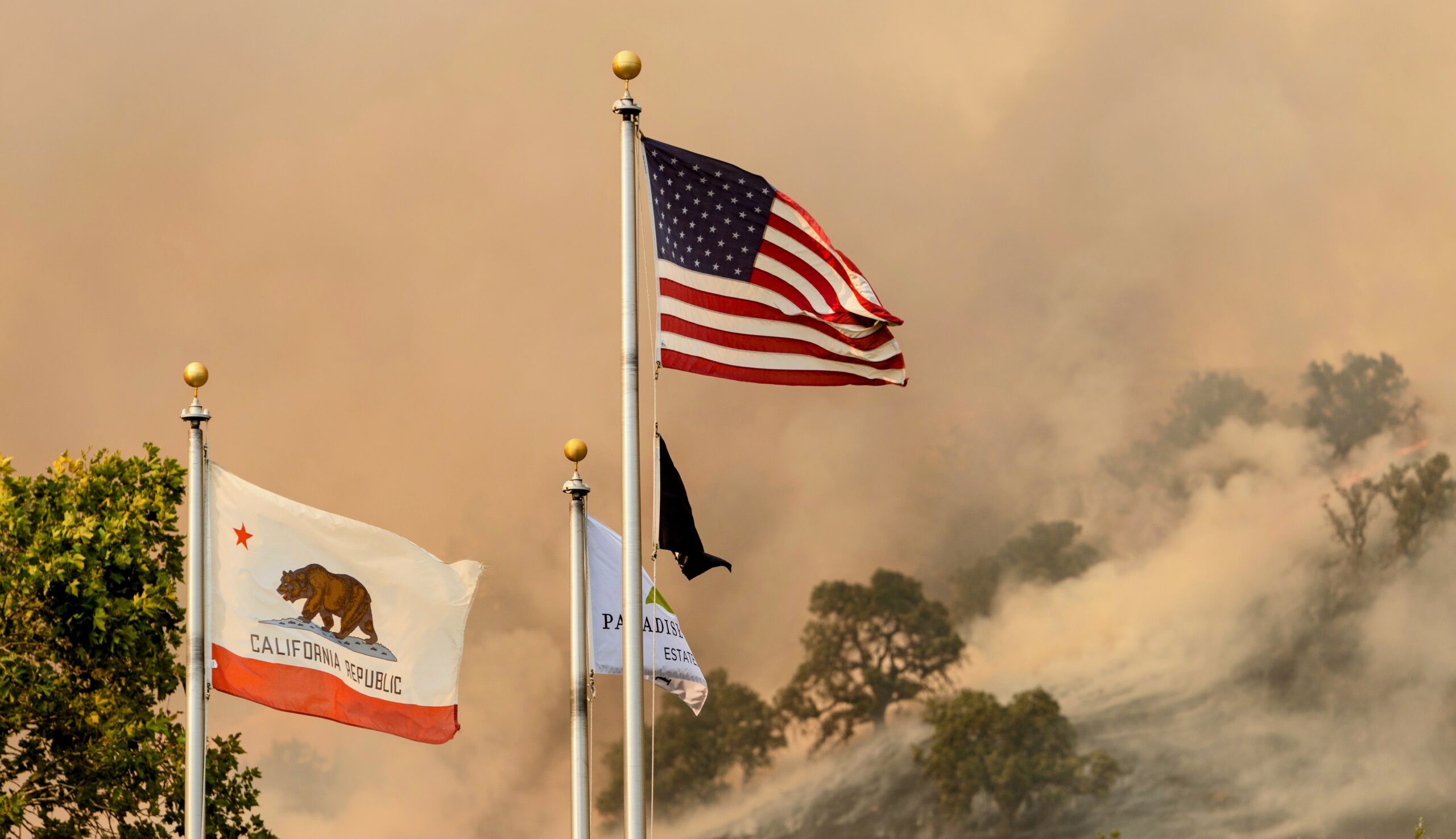 Low-income households are most threatened by wildfire - Earth.com