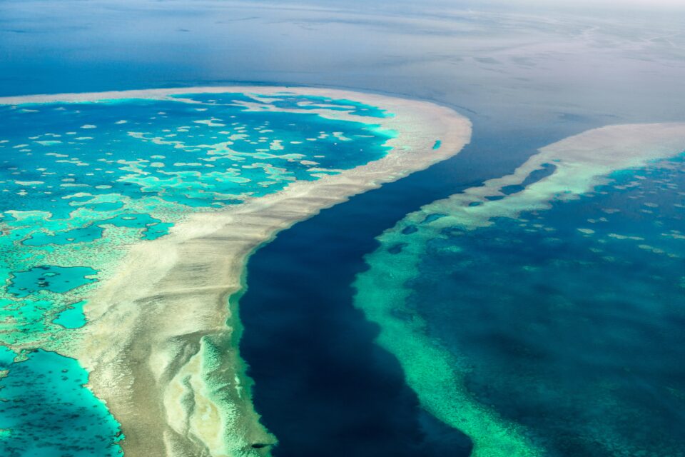 Parts of the Great Barrier Reef are currently recovering • Earth.com