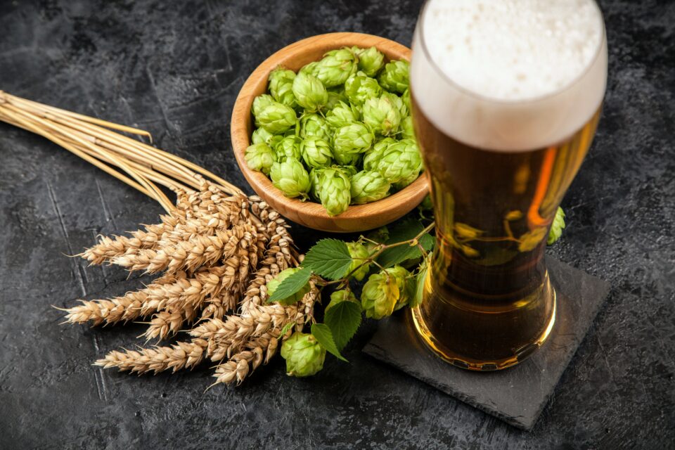 Growing environment impacts the aroma of beer and hops • Earth.com