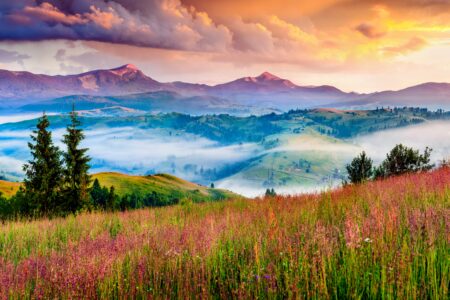 Nurturing benefits of nature are crucial for human well-being • Earth.com