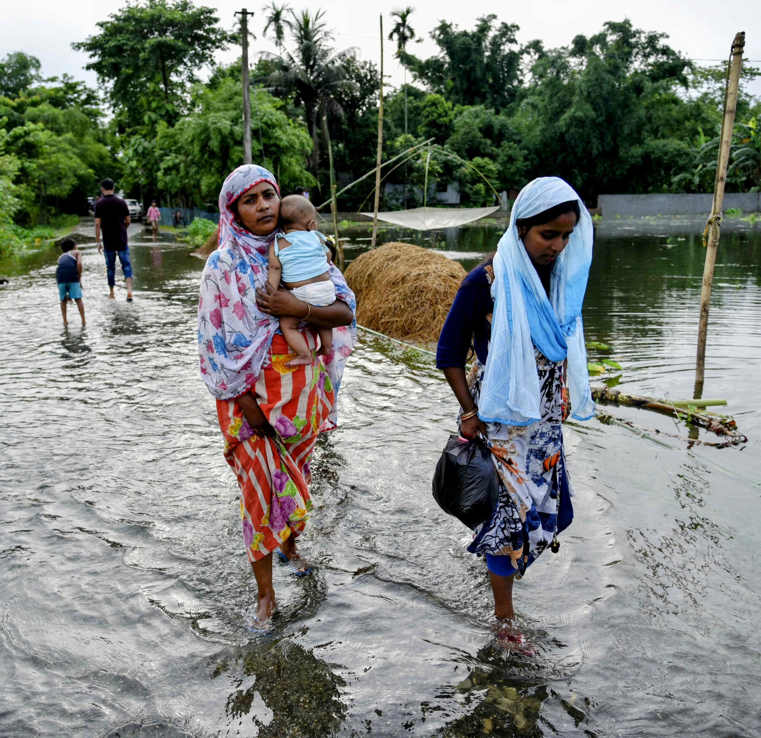 Climate change heightens risk of most infectious diseases - Earth.com