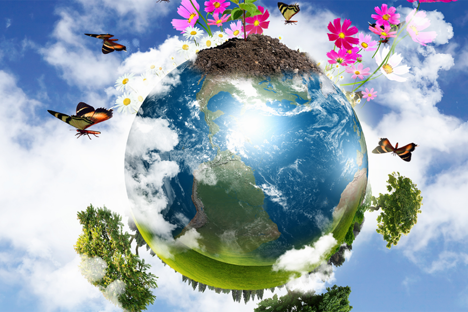 EarthSnap Launches Revolutionary App To Identify Plants And Animals 