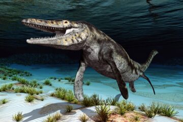 Terrifying mosasaur dominated the ocean 66 million years ago • Earth.com