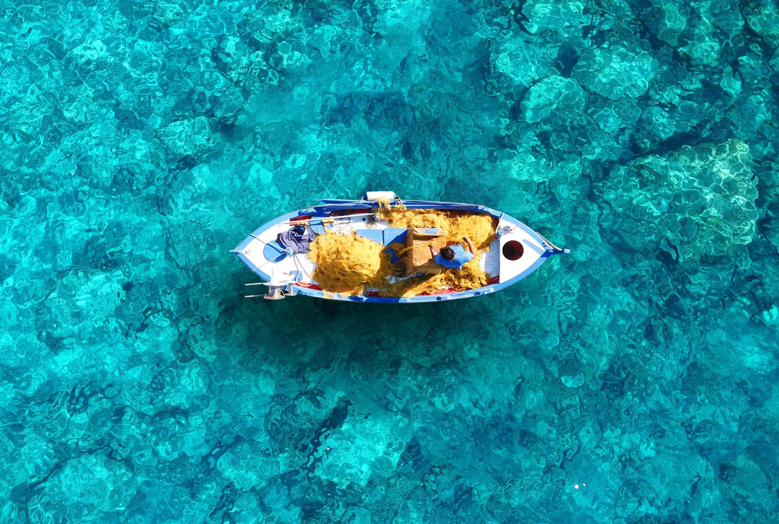 Without strong action, global fish stocks could collapse - Earth.com