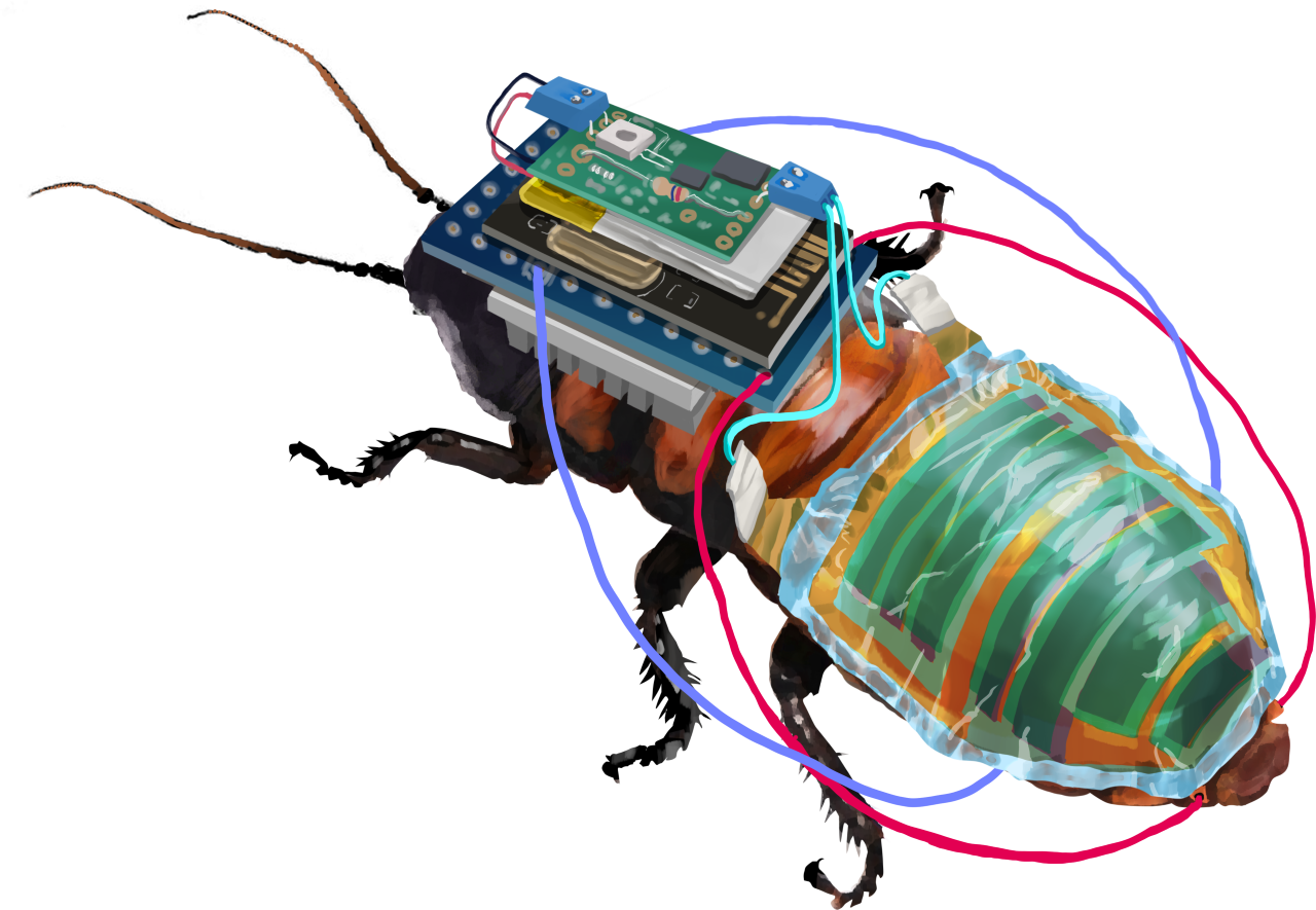 Remote-controlled cyborg cockroach is powered by a solar cell - Earth.com
