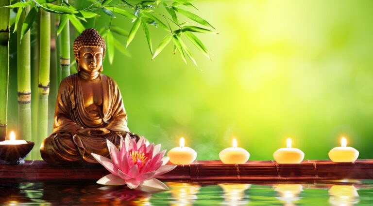 What Color is a Lotus Flower and Why? - Earth.com