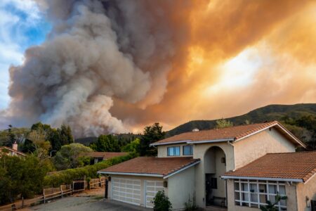 Wildfire pollutants negatively impact water quality • Earth.com