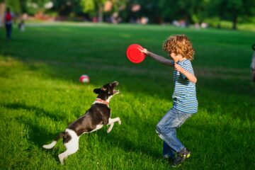 Dogs are more aware of actions than objects • Earth.com