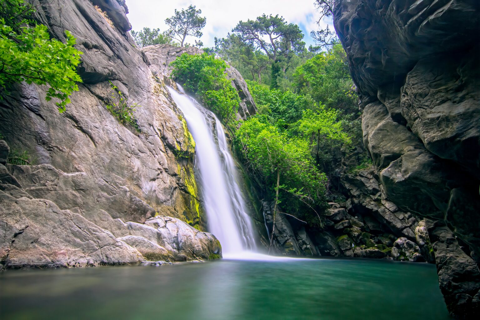 "Miracle plant” thought to be extinct rediscovered in Turkey • Earth.com