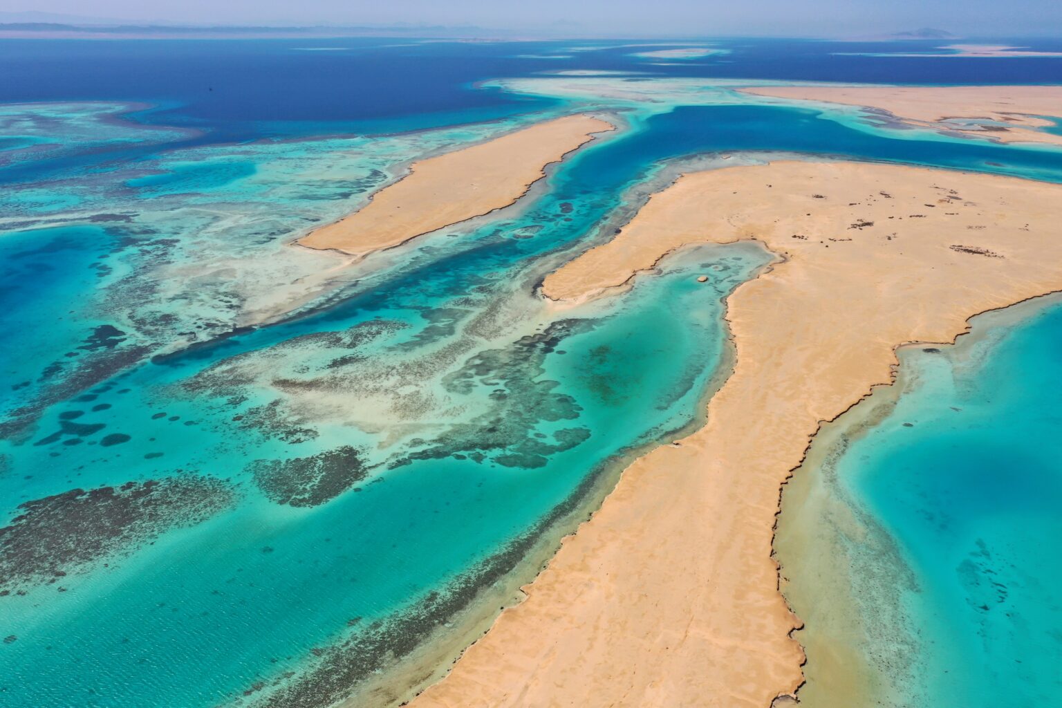 New turtle nesting sites discovered in the Red Sea • Earth.com