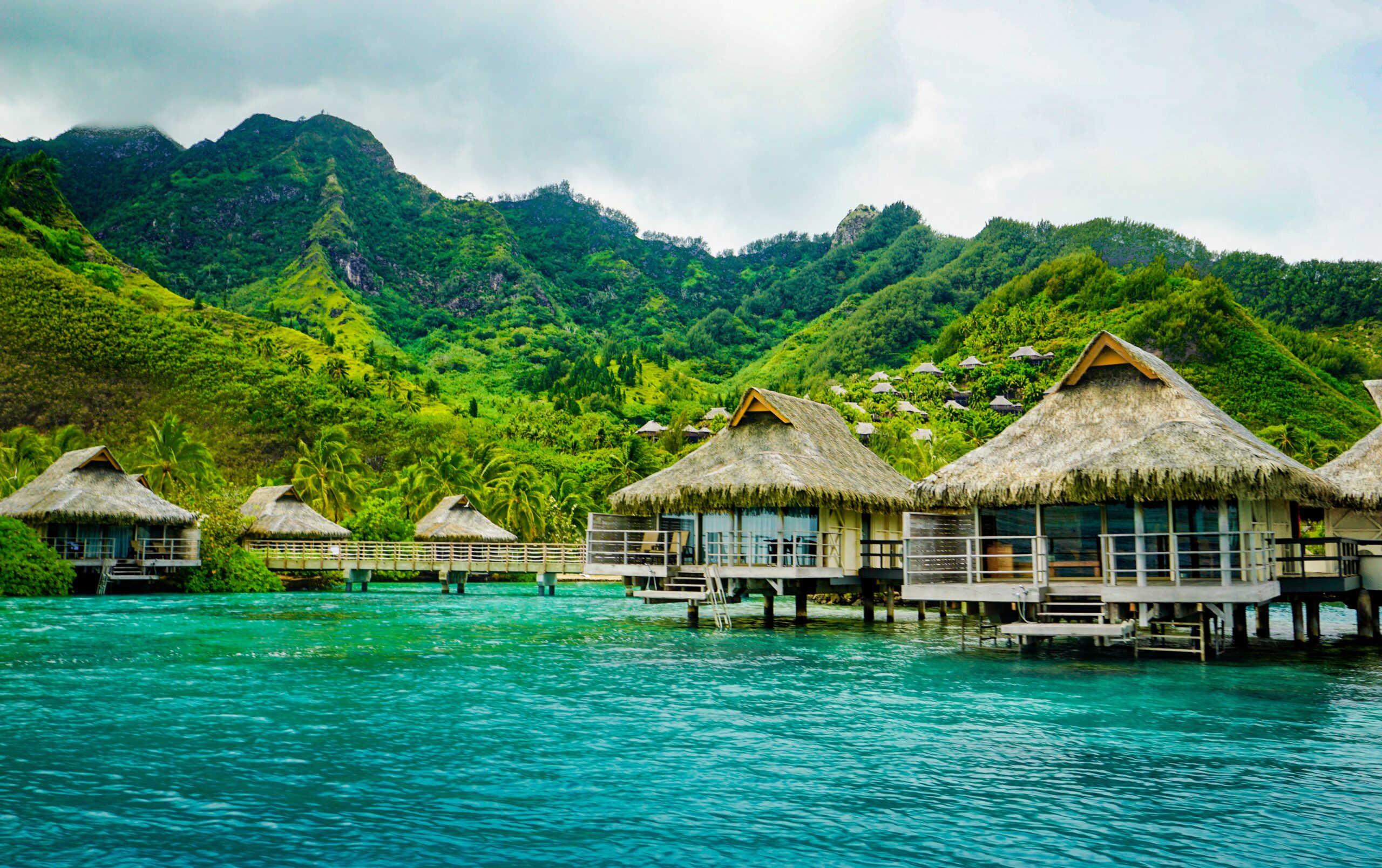 Europeans carried deadly pathogens to the Pacific islands - Earth.com