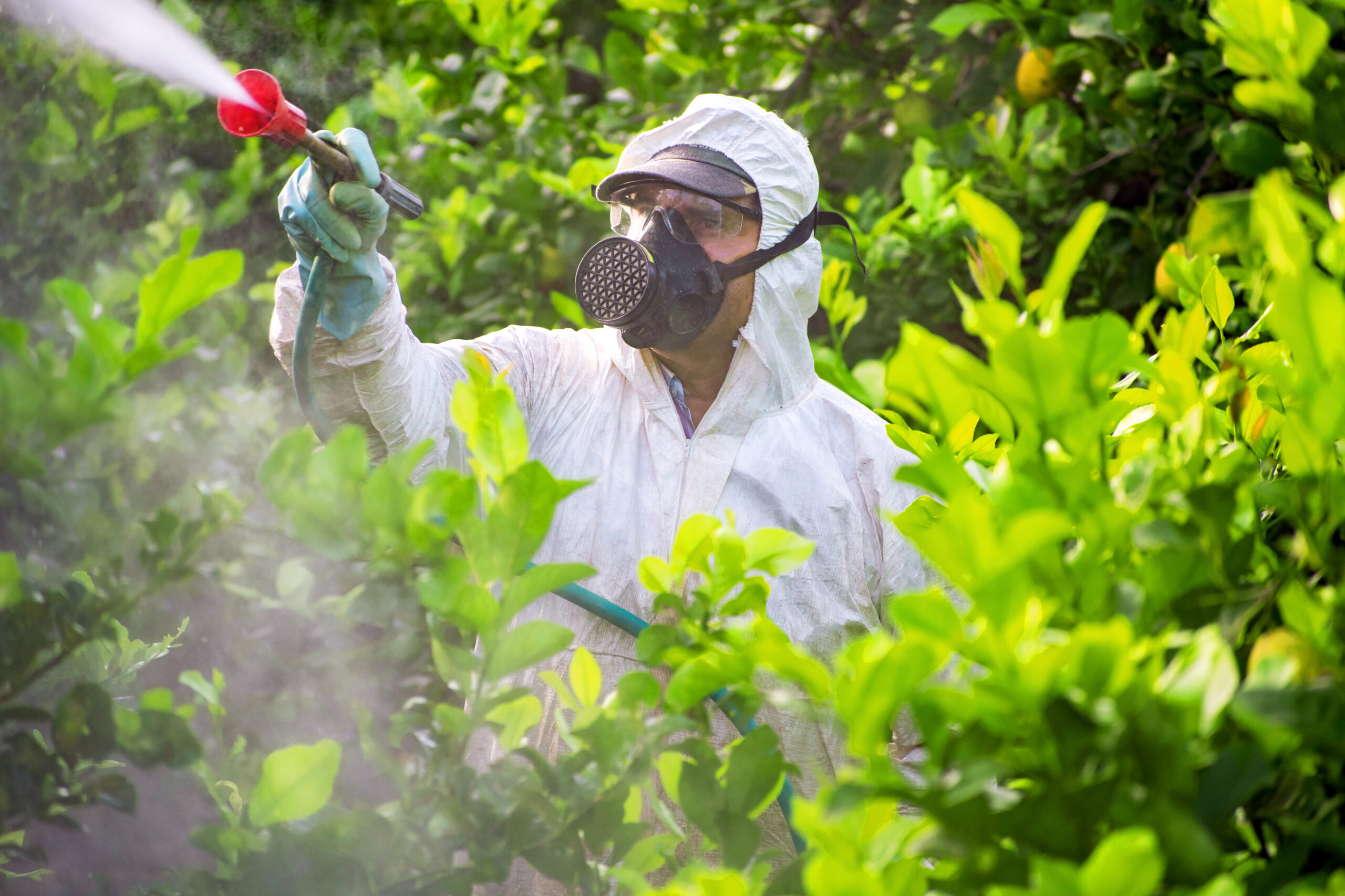 Toxic forever Chemicals Present In Most Pesticides Earth Toxic forever Chemicals Present In Most Pesticides Earth