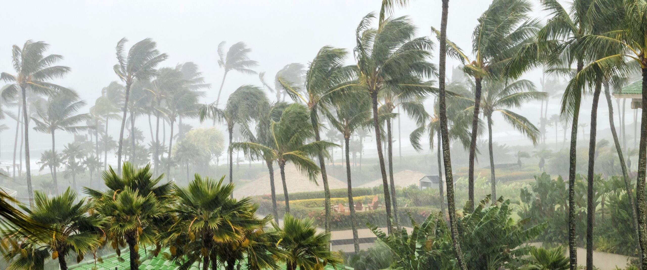 Cyclones and fires interact, worsening the effects of each other ...