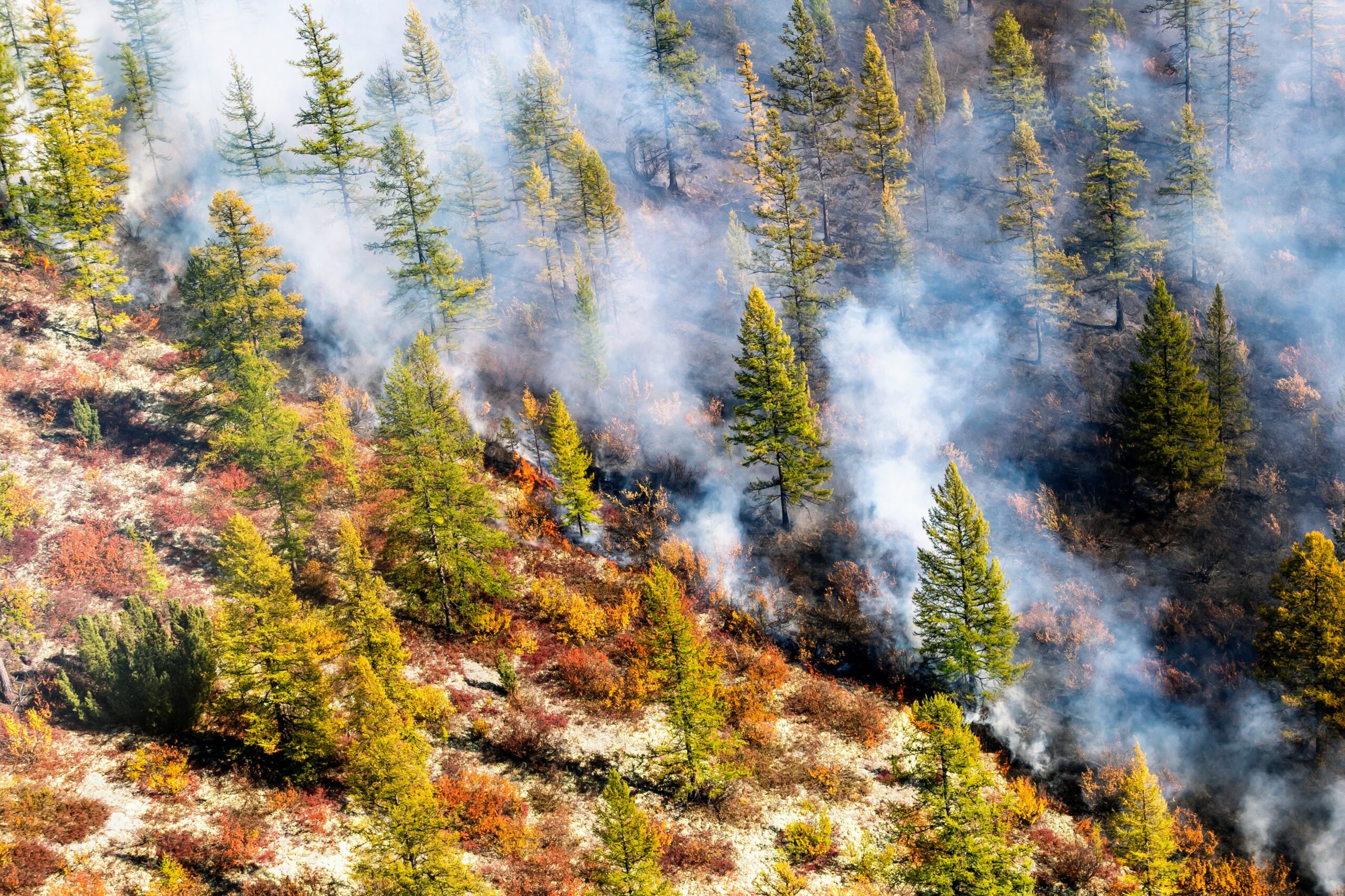 Arctic warming will increase permafrost megafires - Earth.com