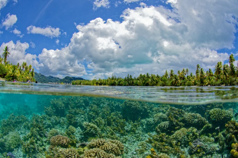 Coastal lagoons have high loads of microplastics • Earth.com