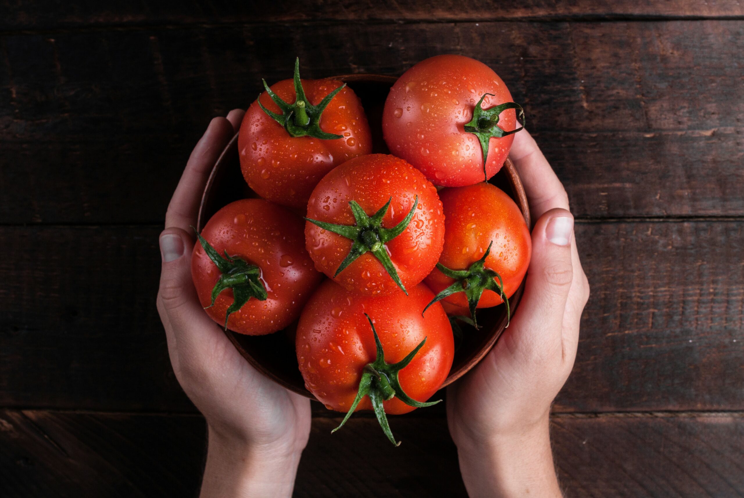 Tomatoes improve the health of the gut microbiome - Earth.com