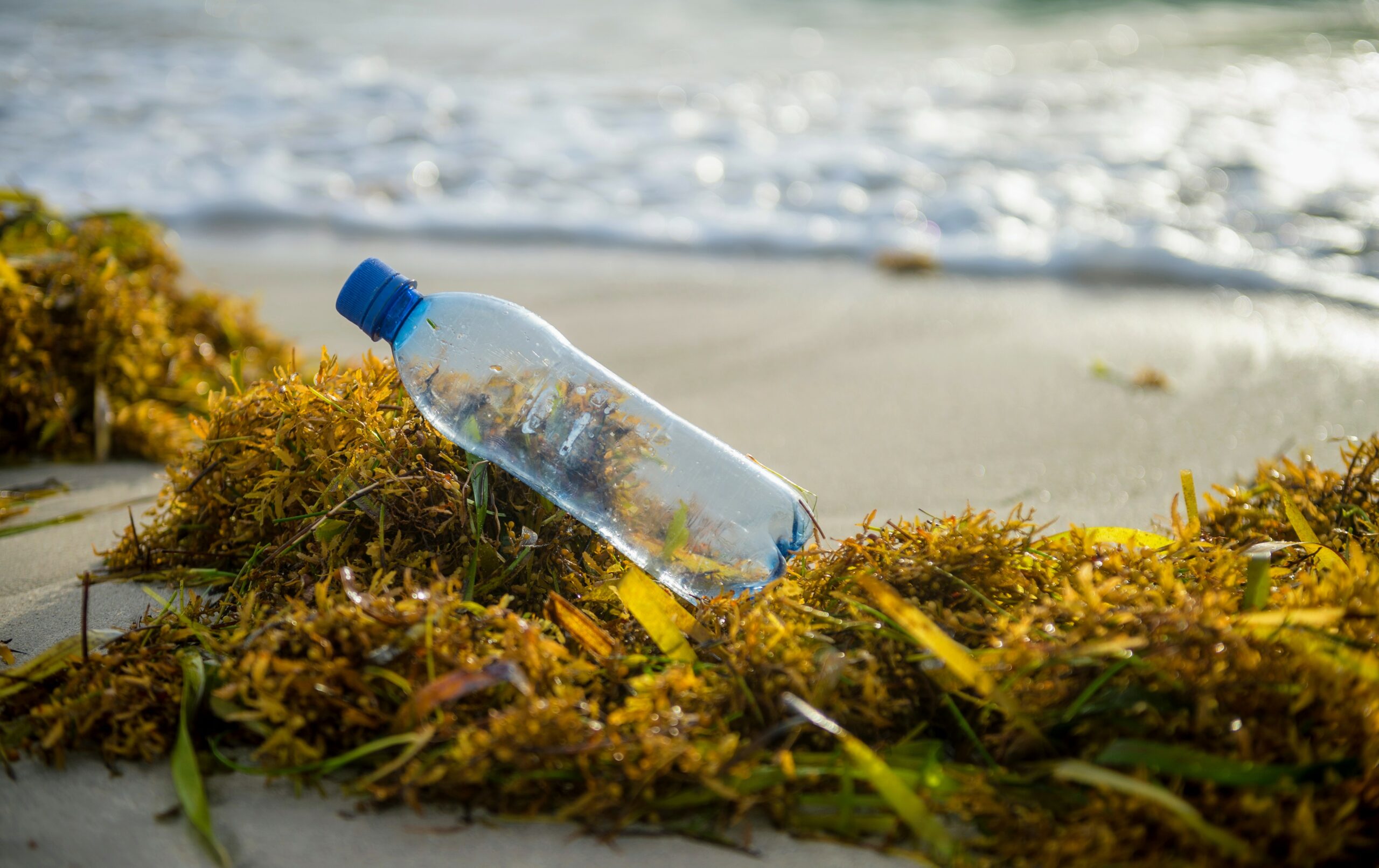 Recycling is not enough to address the plastic crisis - Earth.com