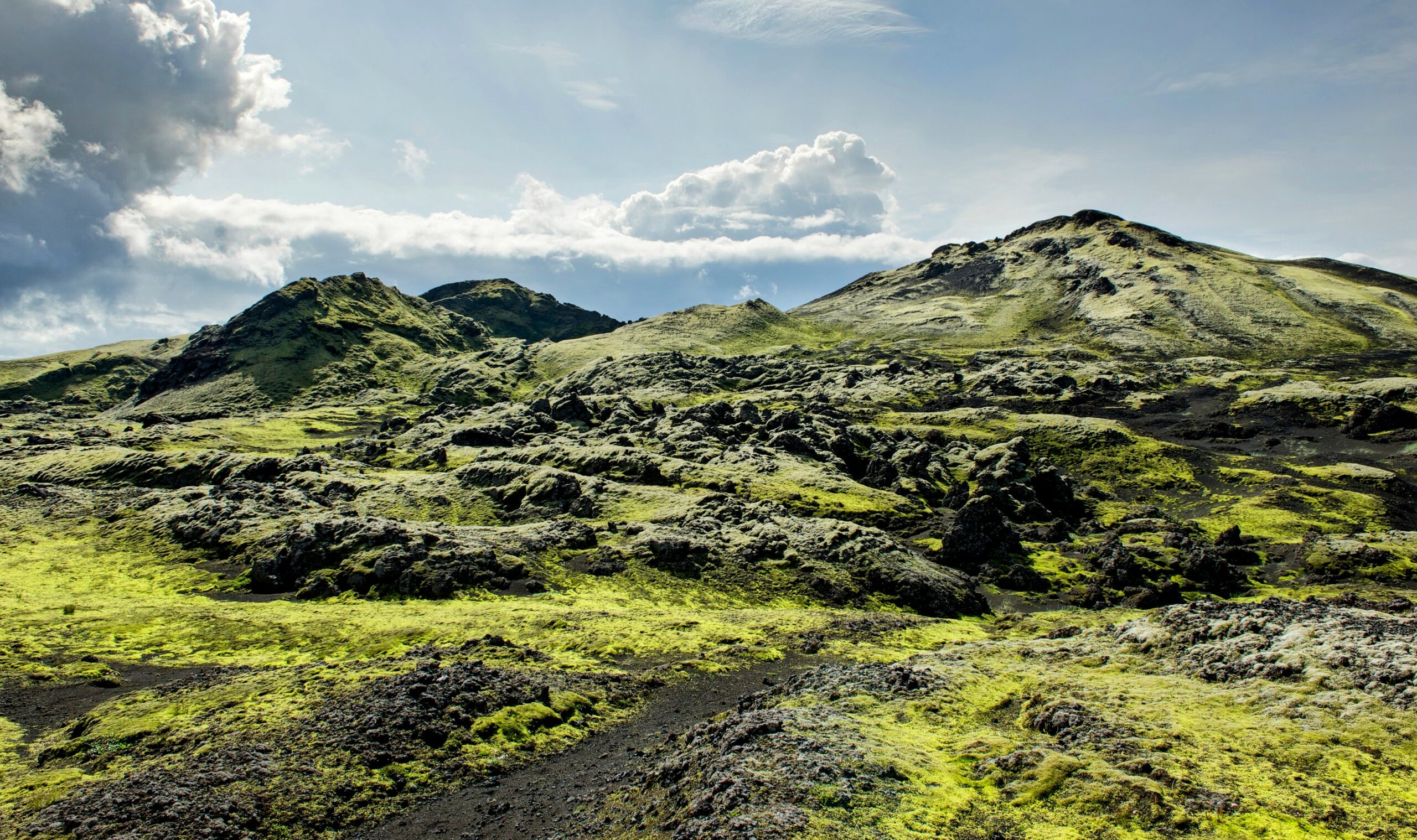 Vegetation plays a major role in Arctic warming - Earth.com