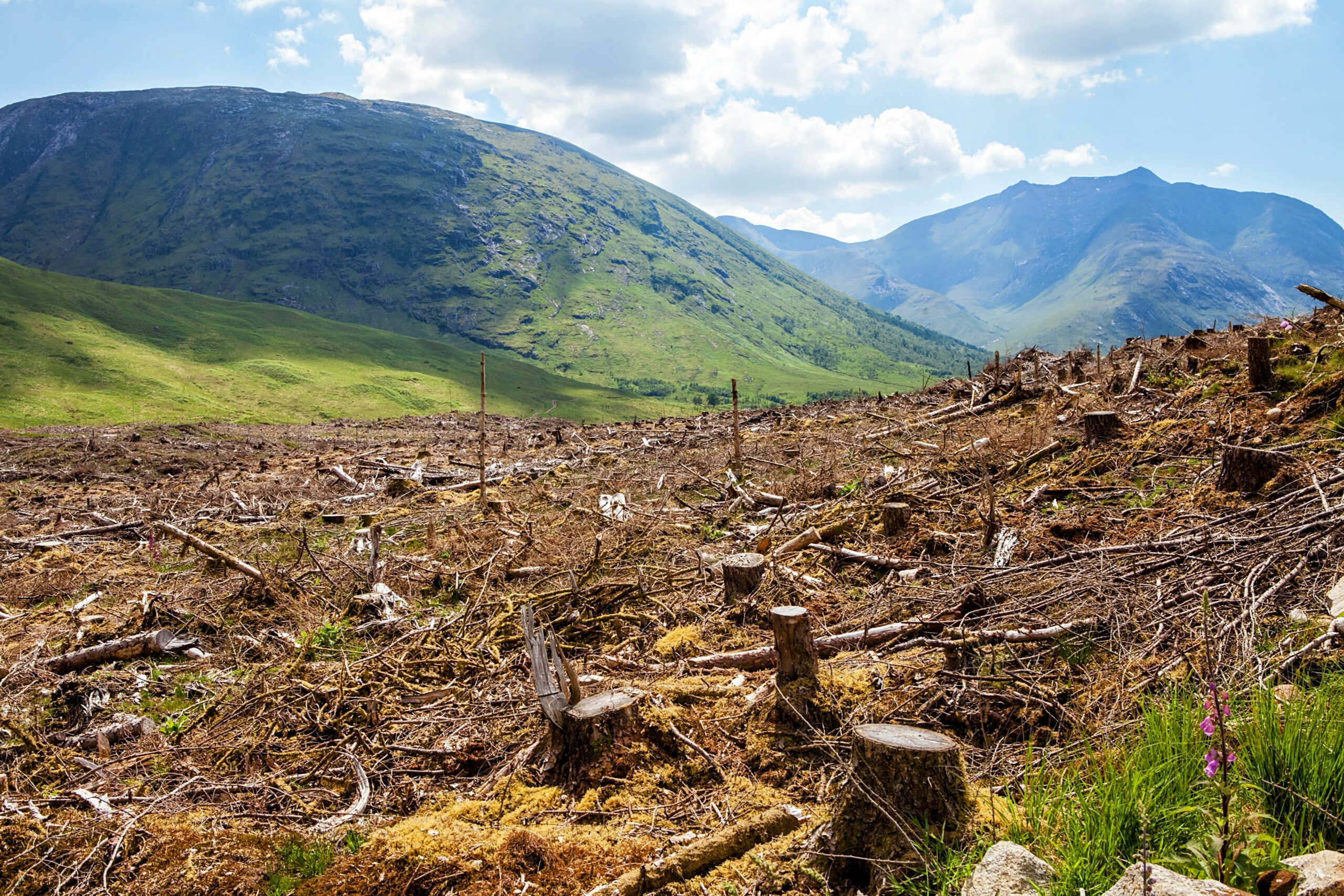 Mussels reveal shocking changes in the river Thames - TrendRadars
