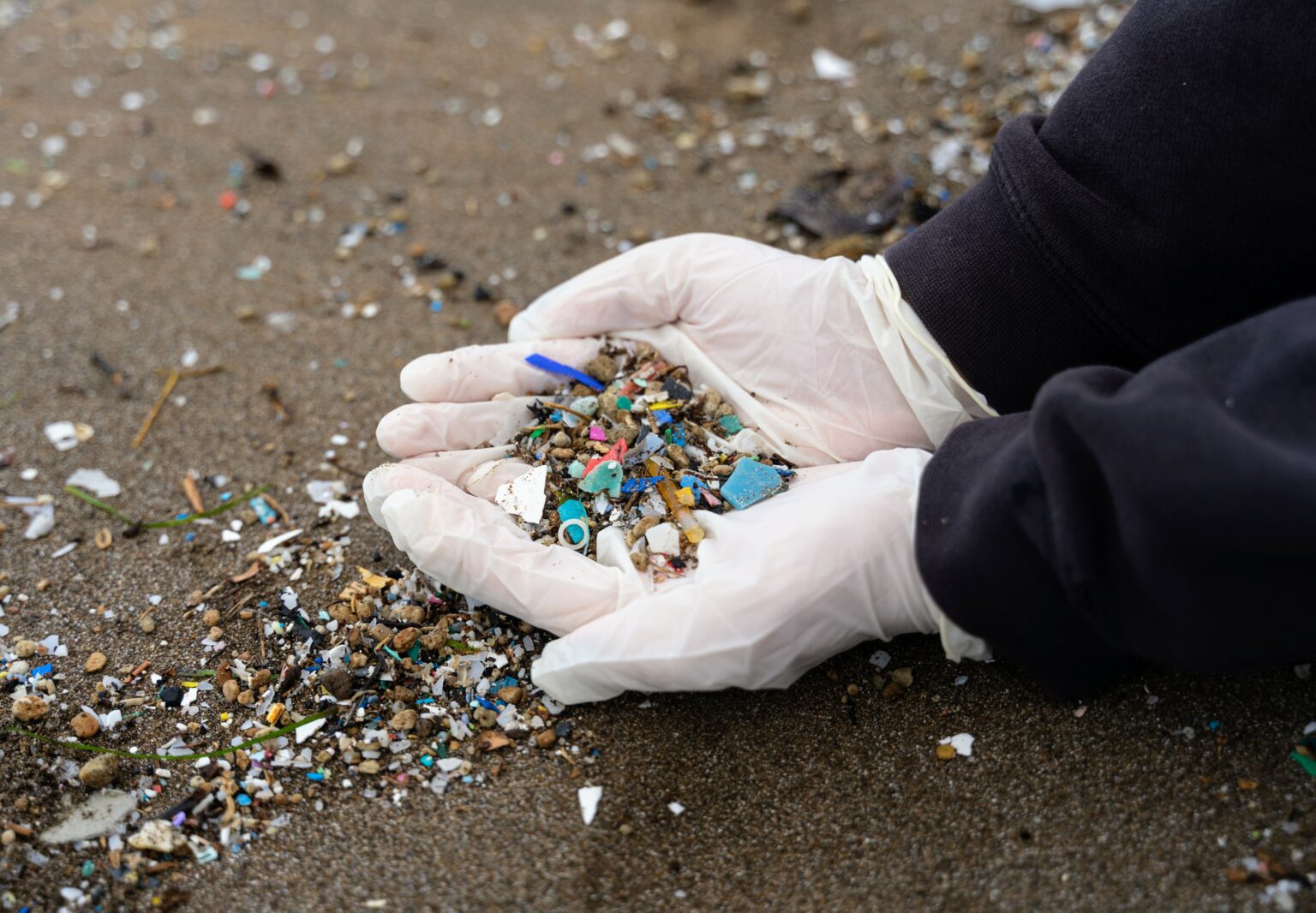 Microplastics can make other pollutants more toxic • Earth.com