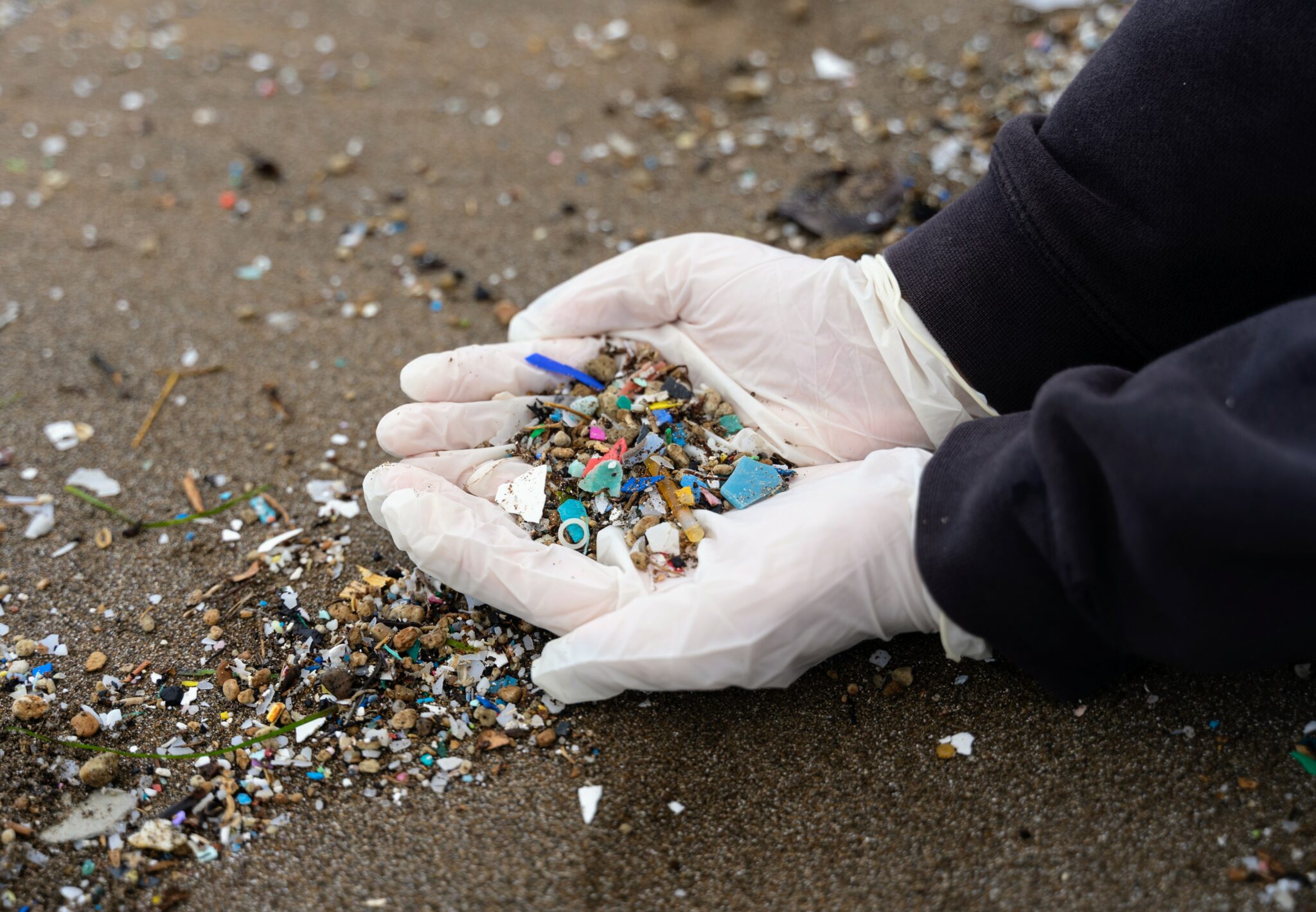 Microplastics Can Make Other Pollutants More Toxic •