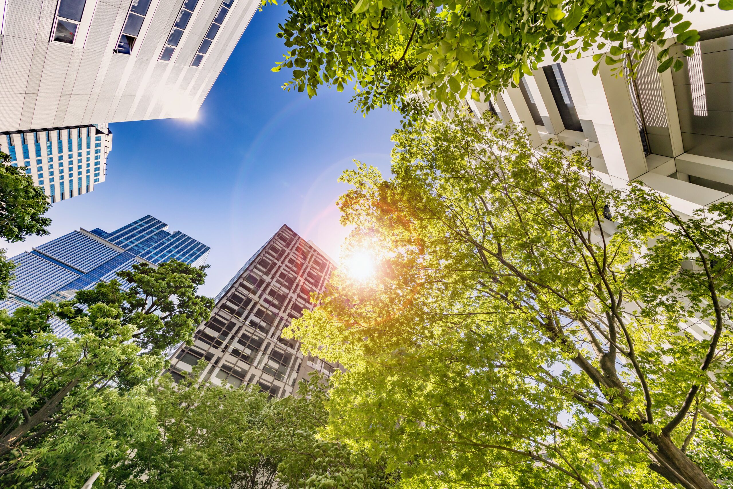 The Researchers Analyzed The Relationship Between Mental Health And The ...