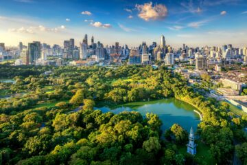 Urban green spaces linked to less prescription drug use • Earth.com