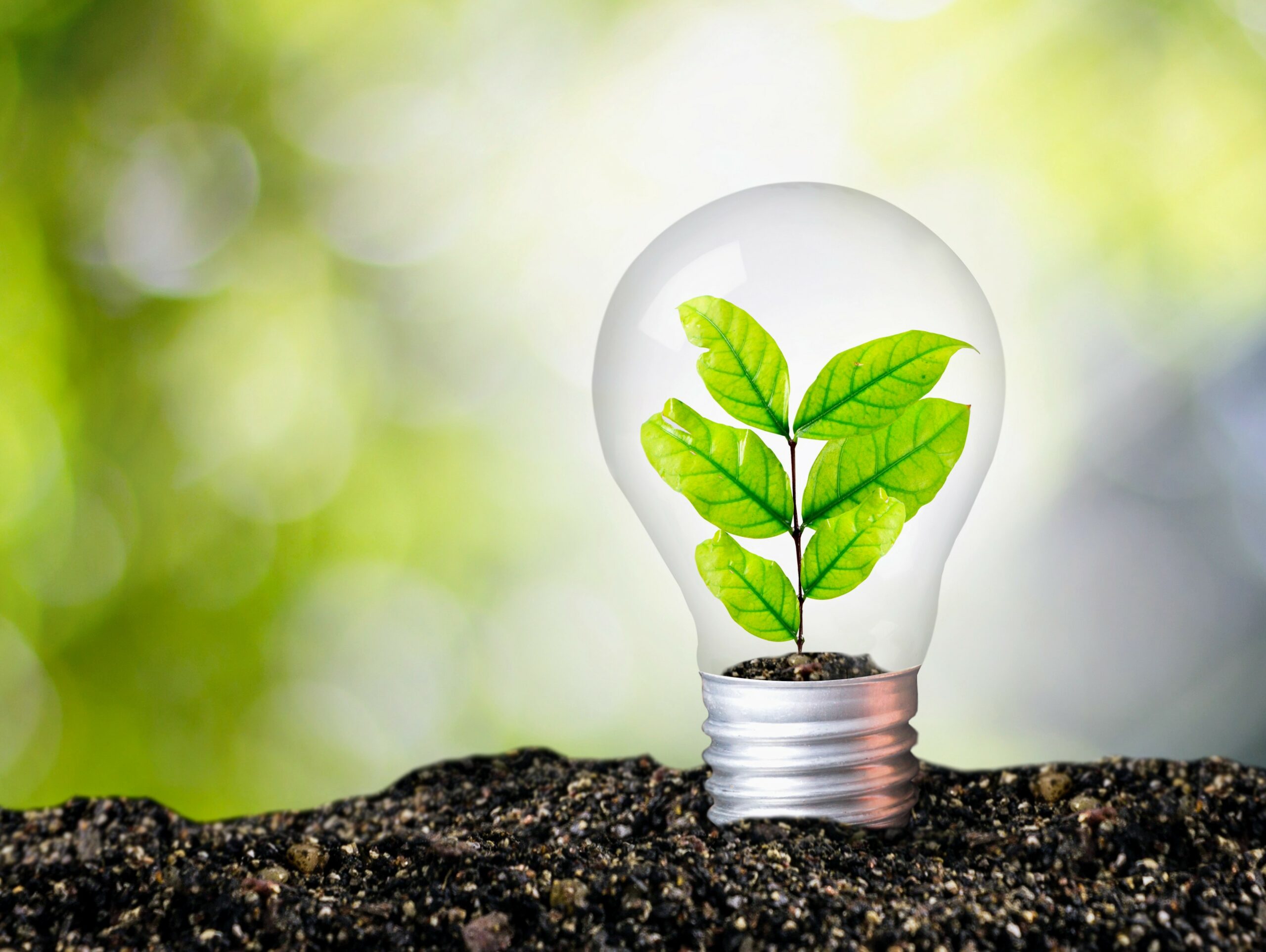 Harvesting electricity with nature-inspired techniques - Earth.com