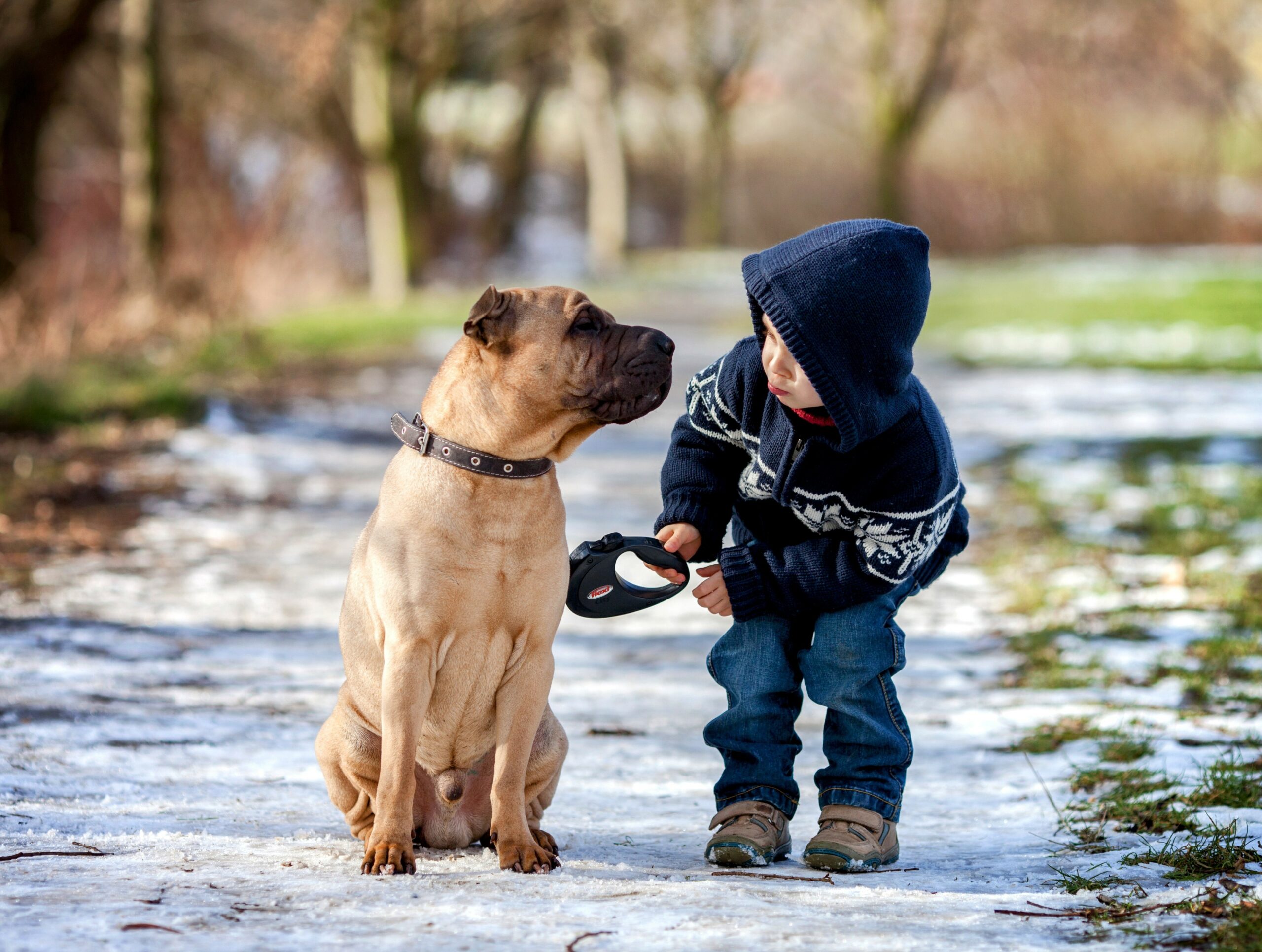 Prosocial behavior by young children extends to dogs - Earth.com