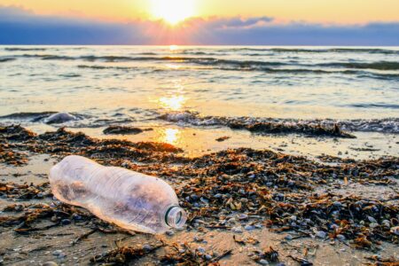 Bacteria can eat and digest plastic • Earth.com