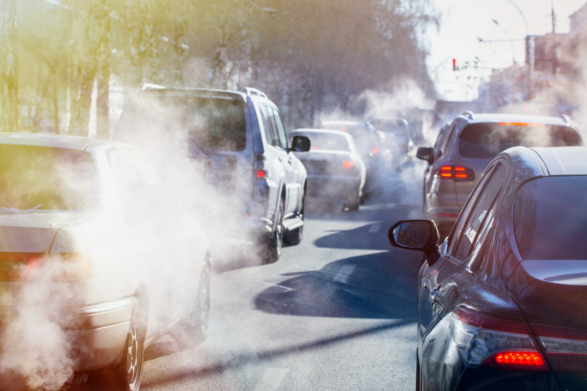 Traffic pollution impairs brain network connectivity • Earth.com