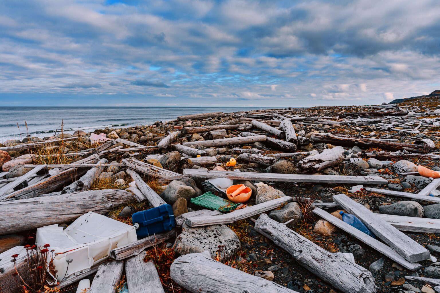 Where does plastic debris in the Arctic come from? • Earth.com