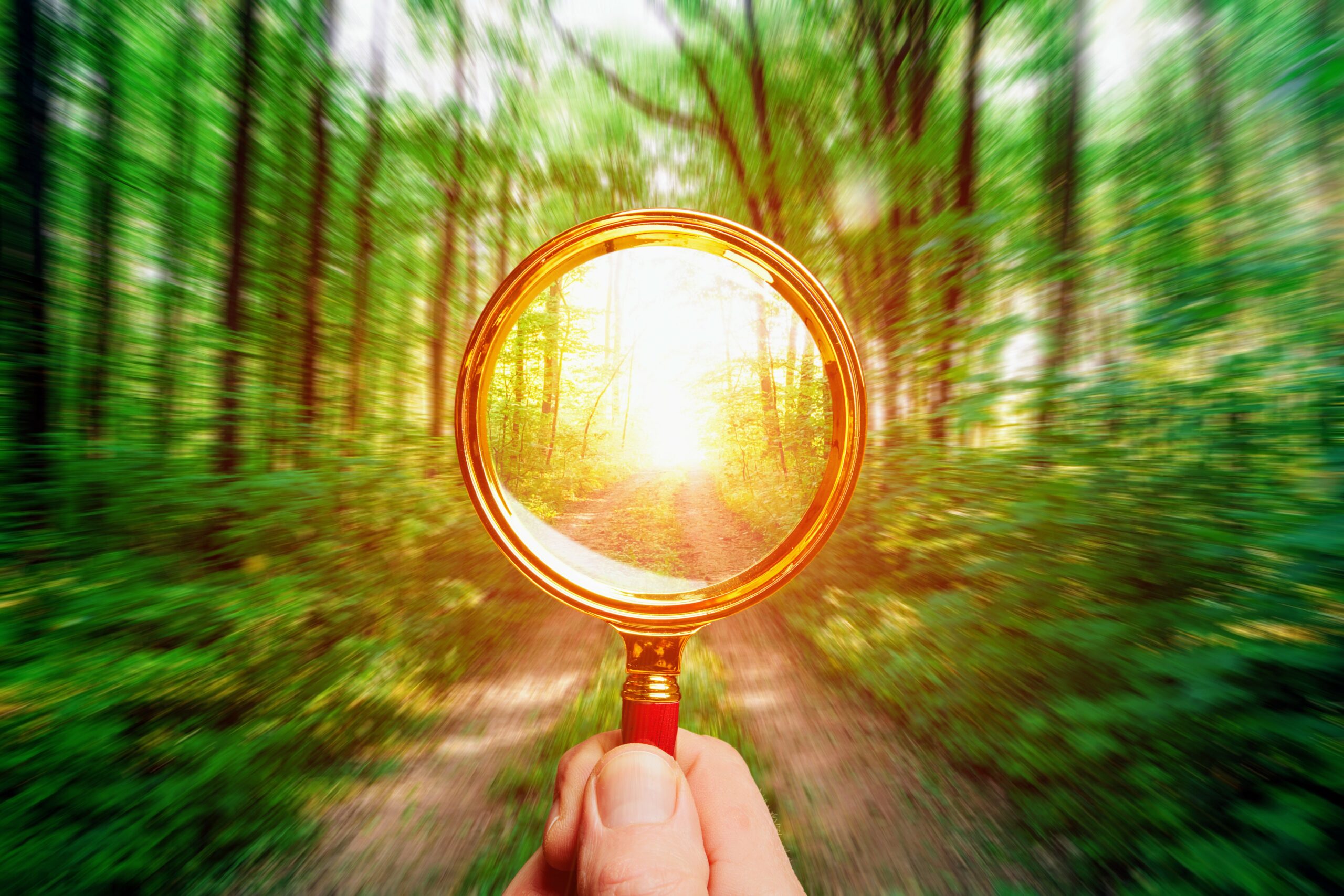 Citizen scientists gain a stronger connection with nature - Earth.com