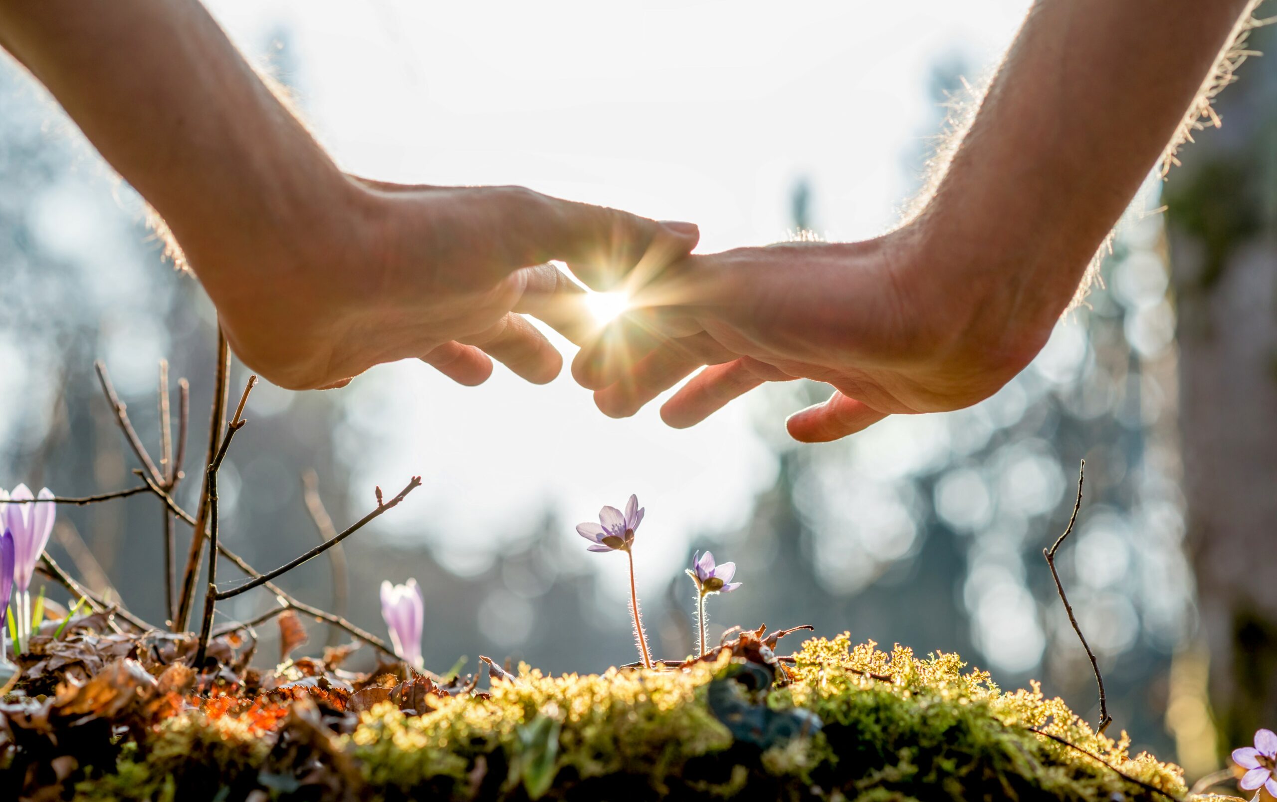 What motivates people to protect the environment? - Earth.com