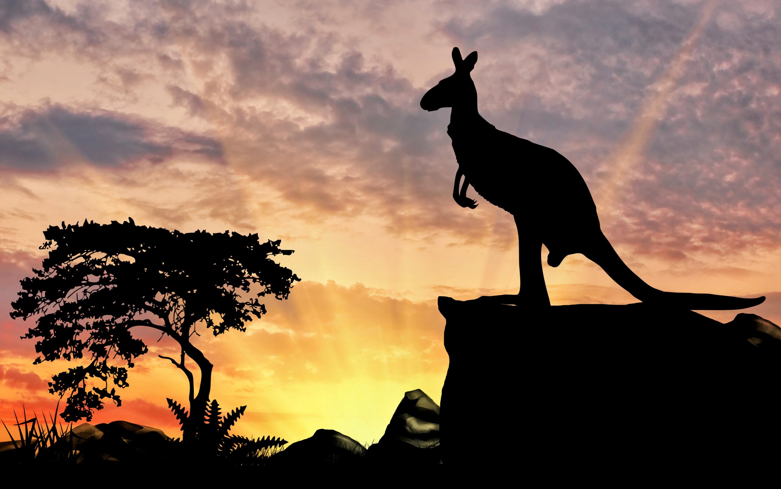 Kangaroos could help reduce methane emissions from cattle - Earth.com