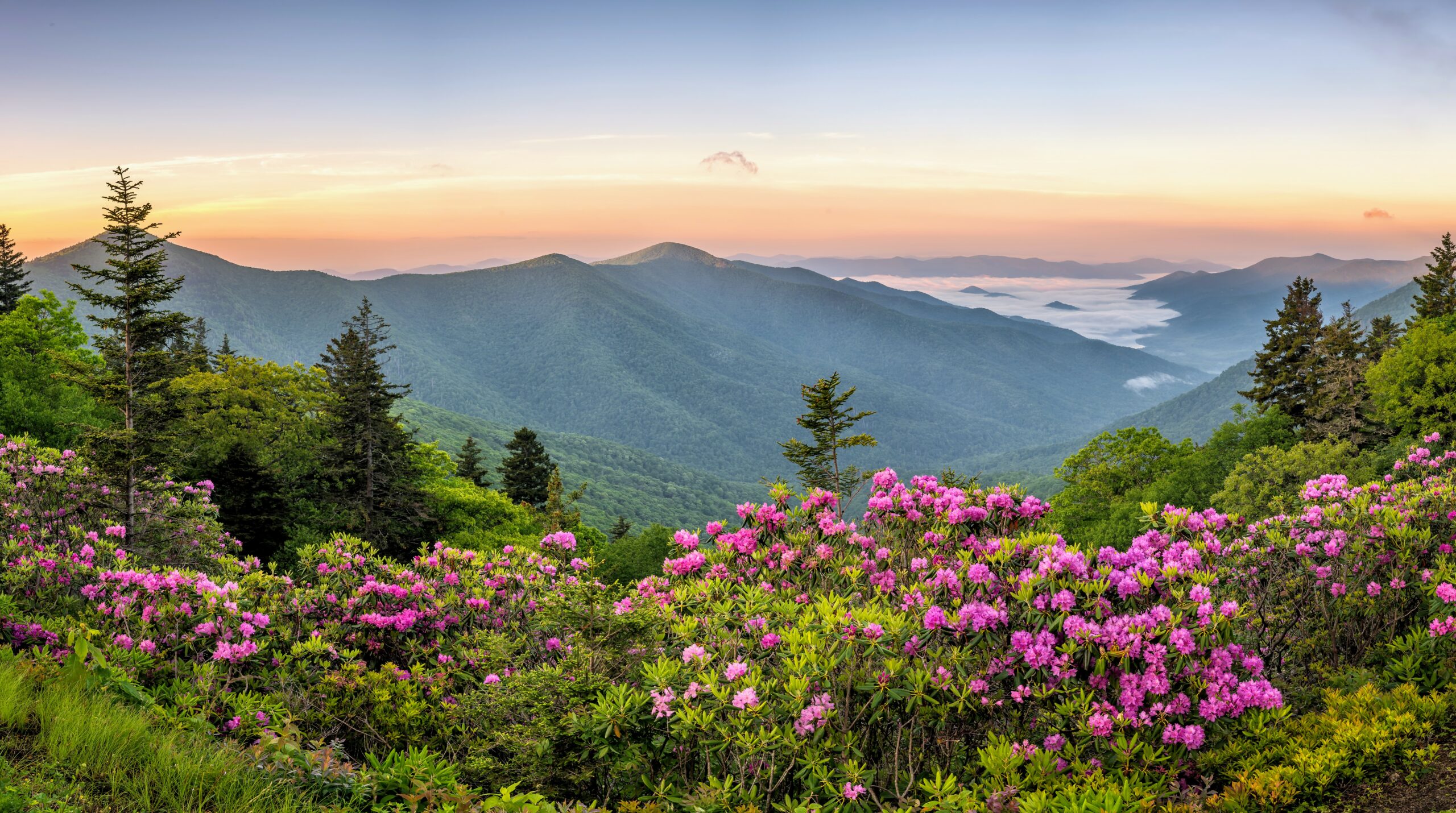 Plants are responding much faster to climate change than expected ...