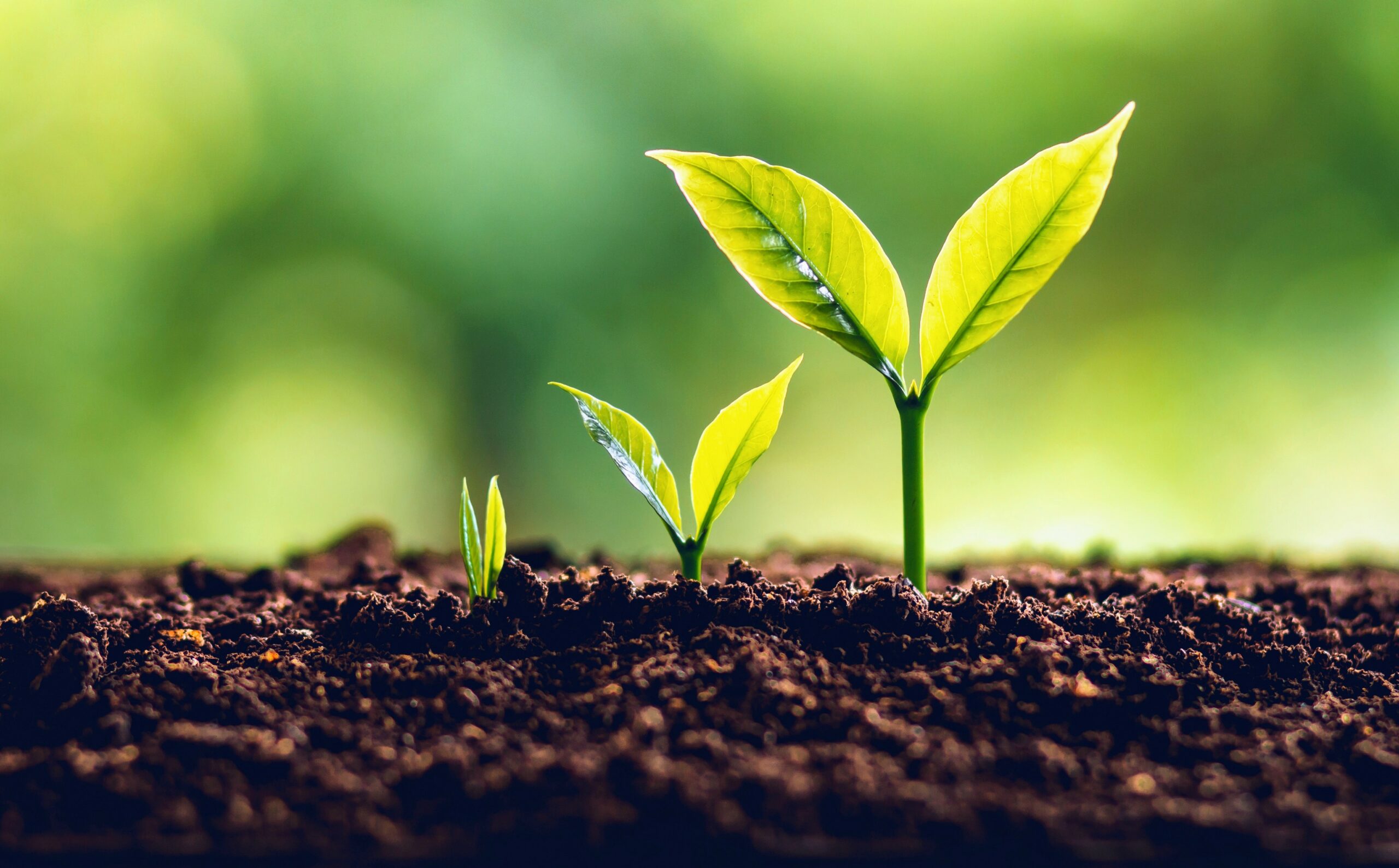 New clues about the origins of life on Earth - Earth.com