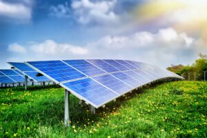 Growing crops at solar farms increases panel efficiency • Earth.com