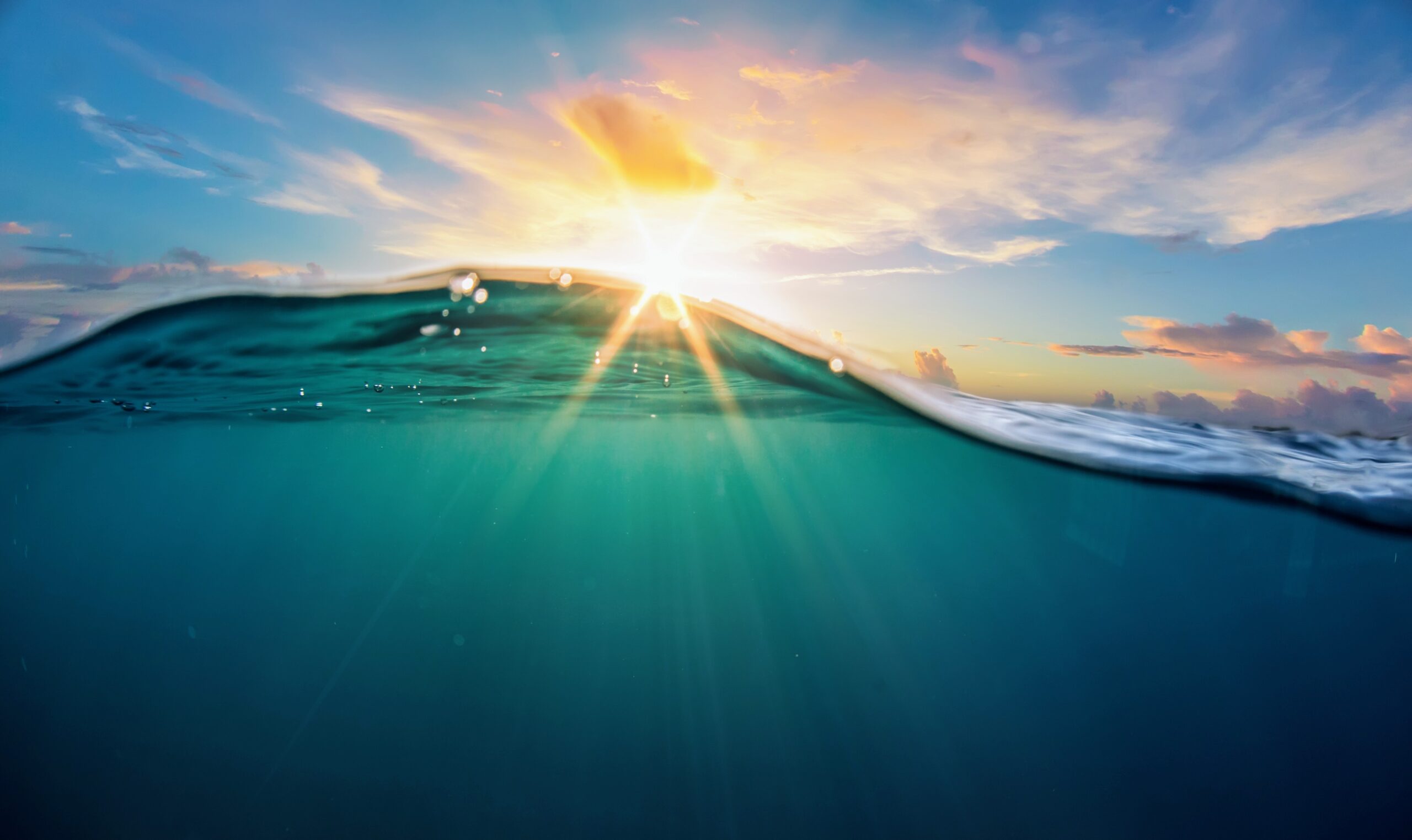 Citizens should help determine the future of our oceans - Earth.com
