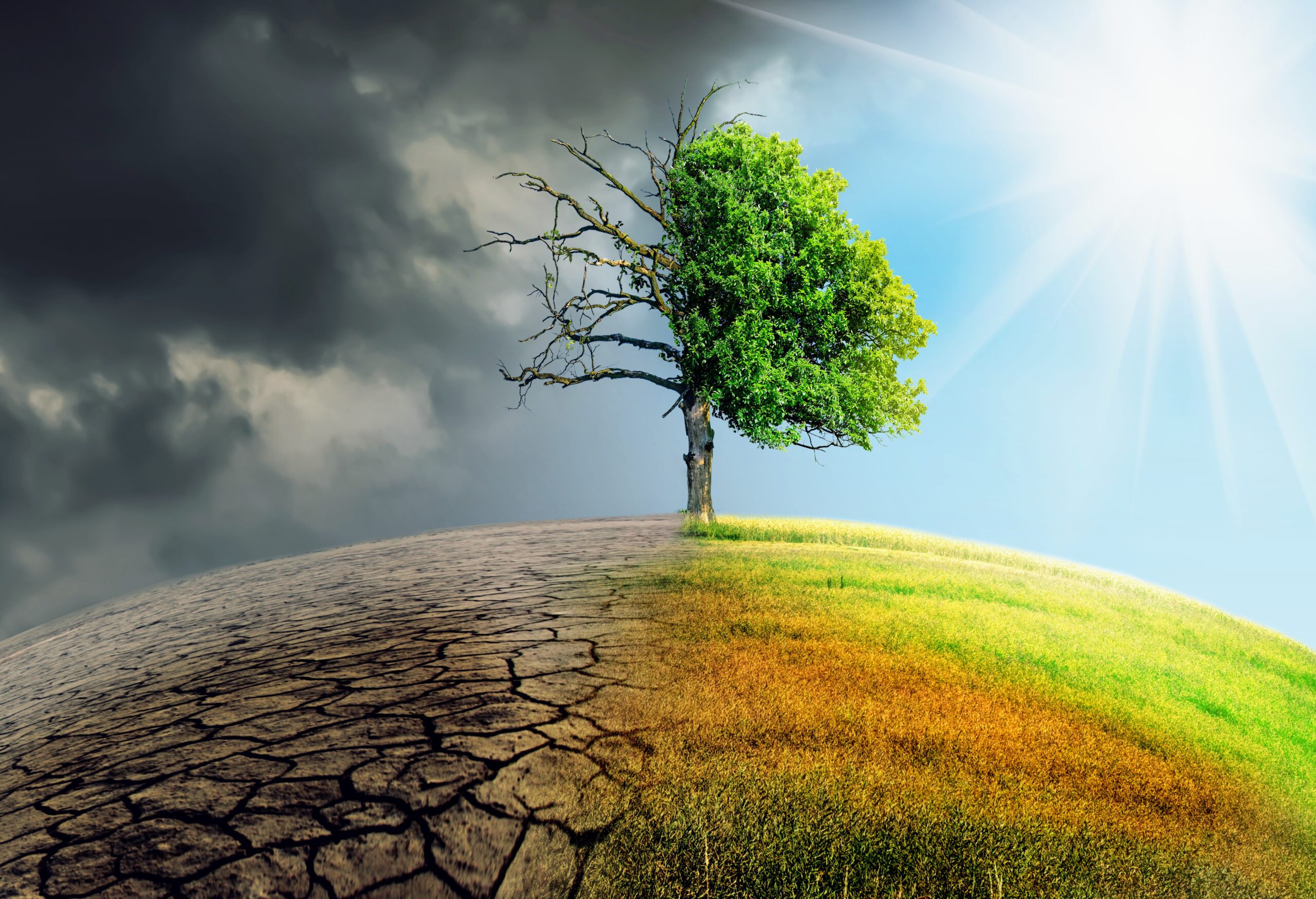 IPCC: Climate action urgently needed to end human suffering - Earth.com