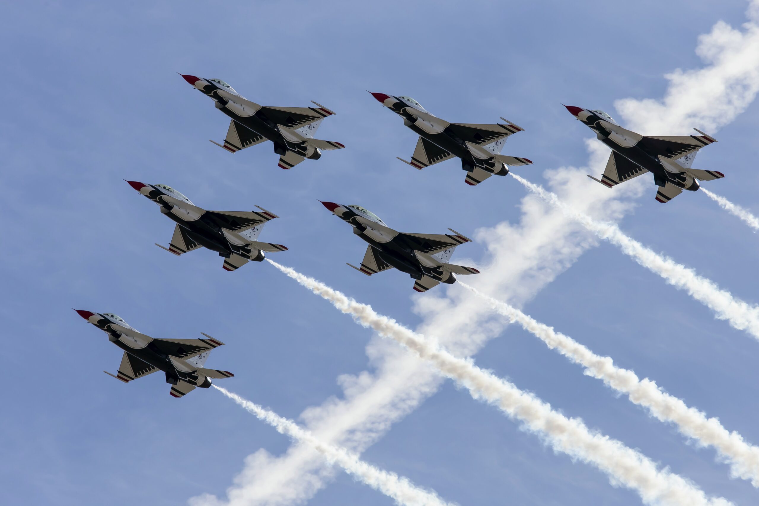 Lizards are stress eating during military flyovers - Earth.com