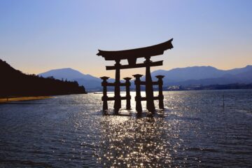 Three new species of glowing sea worms found in Japan • Earth.com