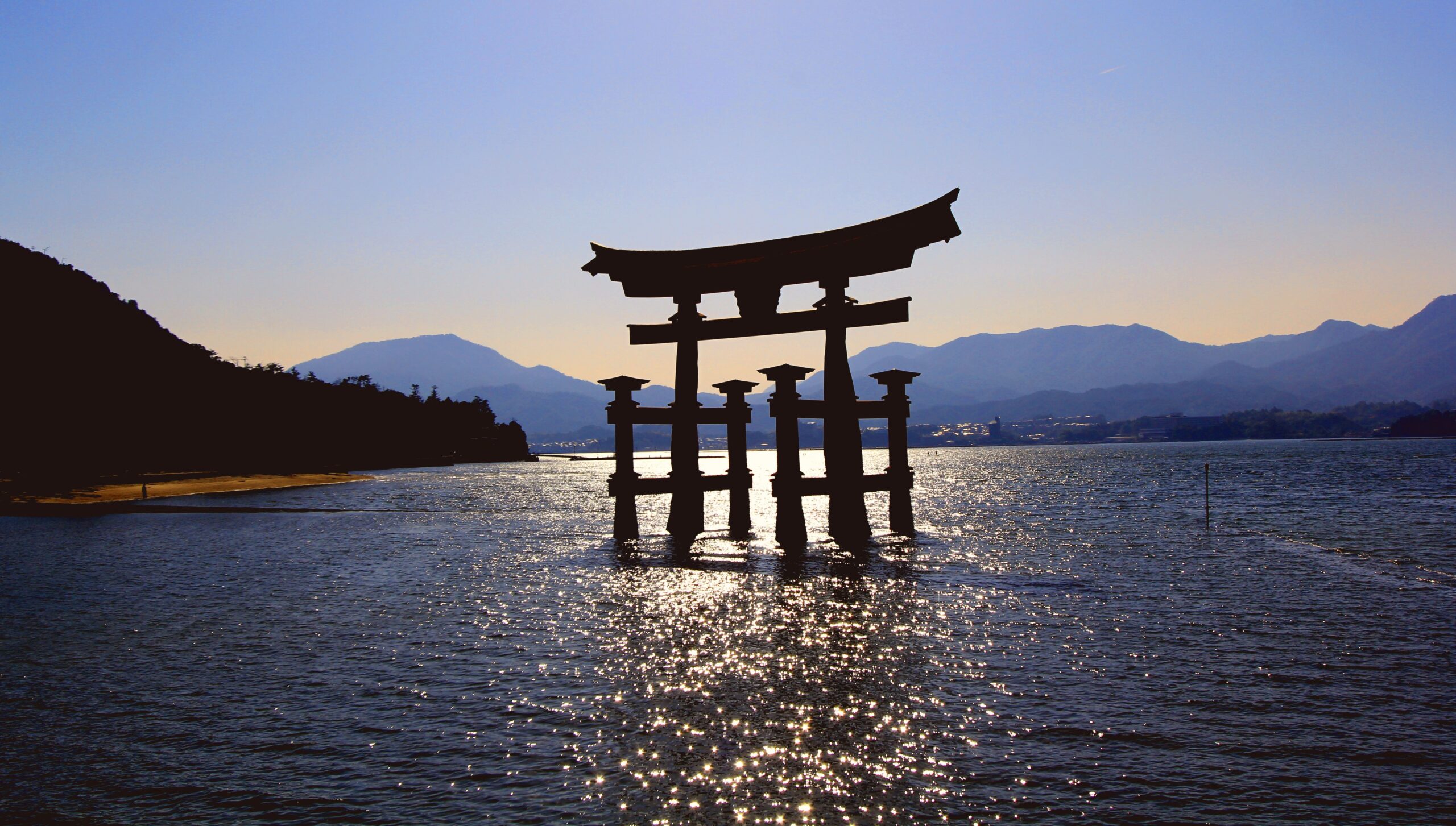 Three new species of glowing sea worms found in Japan - Earth.com