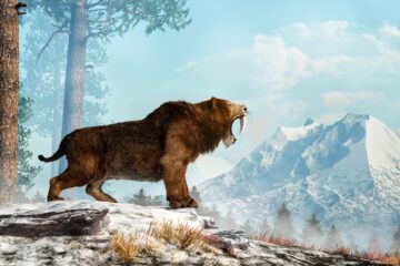 Sabertooth skull offers new clues about the extinct mammal • Earth.com